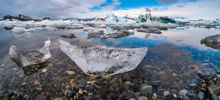 Groenlandia, ritrovate piante fossili sotto alla calotta di ghiaccio
