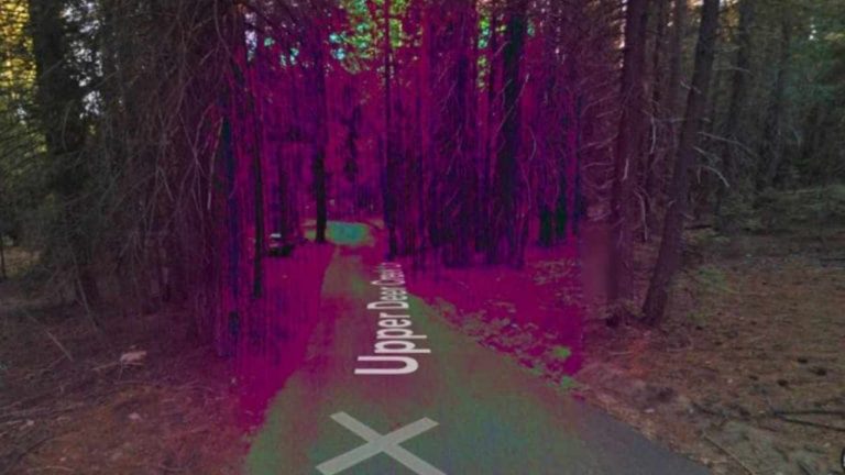 Google Maps mostra una foresta infestata? L'incredibile scoperta