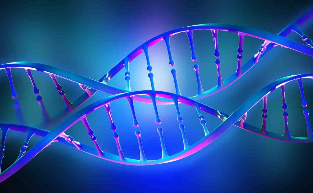 La mappa del genoma umano è completa. Come si è arrivati a questo ...