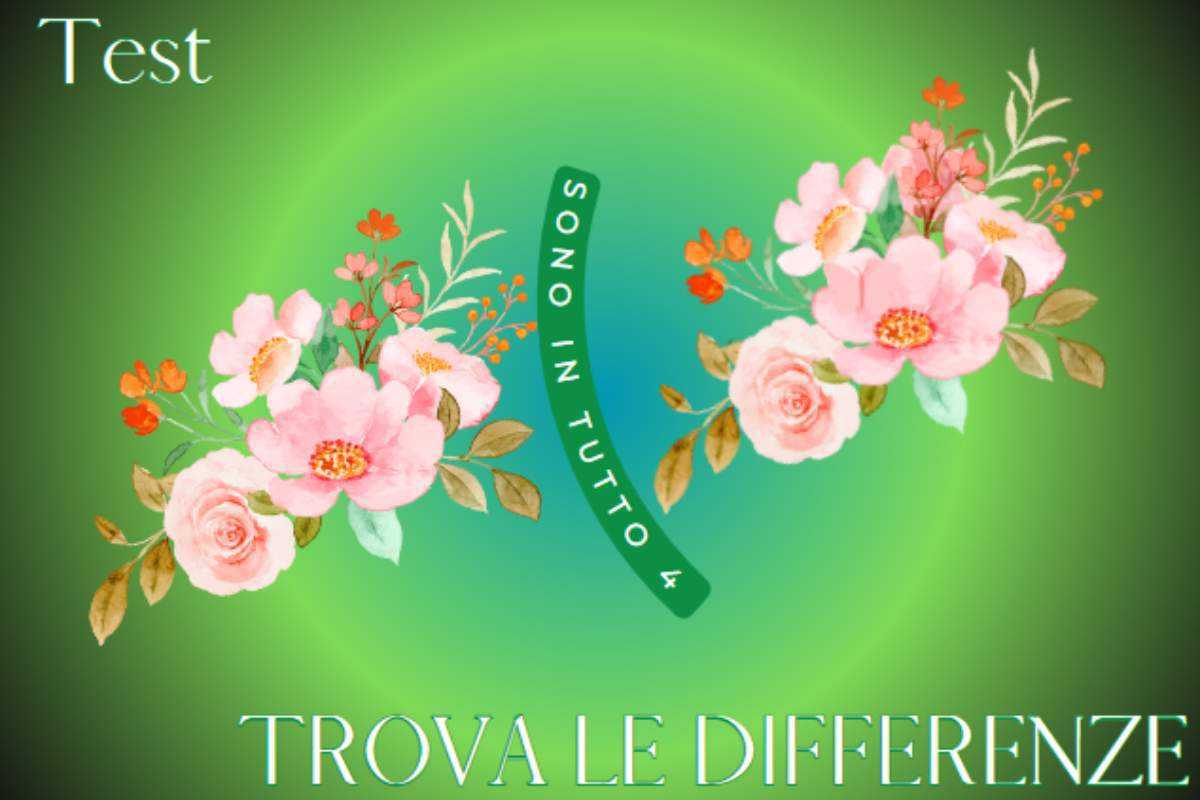 Te lo dico subito: non è semplice! Riesci a vedere le differenze tra ...